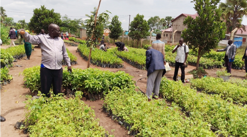 YUMBE DISTRICT | LOCAL GOVERNMENT